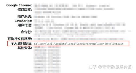 搜索技巧篇如何查看谷歌浏览器Chrome的缓存文件夹位置 知乎