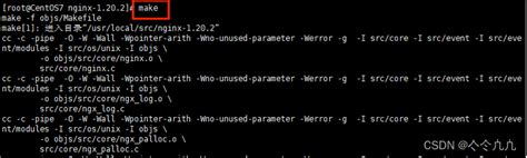Linux安装web服务器图文教程之nginxlinux Nginx部署web项目 Csdn博客