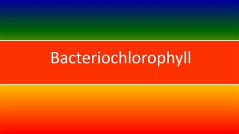 Bacteriochlorophyll Youtube