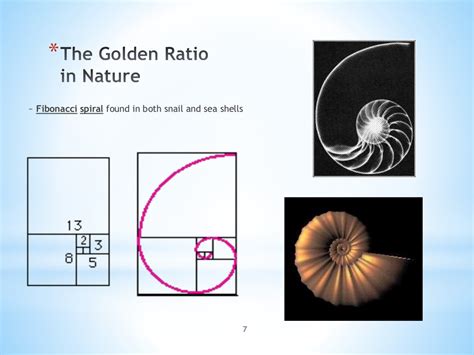 Fibonacci Sequence Formula Golden Ratio Nutriright