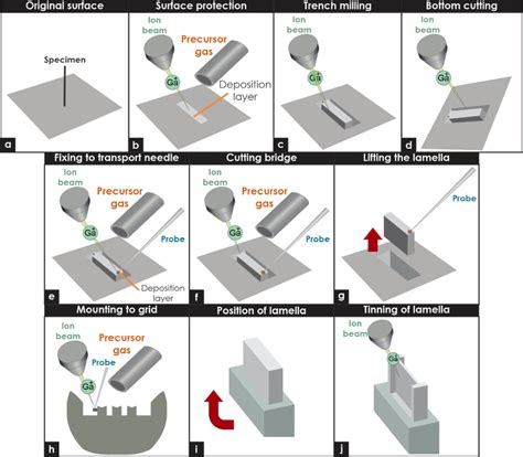 Fib Sample Preparation Of Tem Lamella Download Scientific Diagram