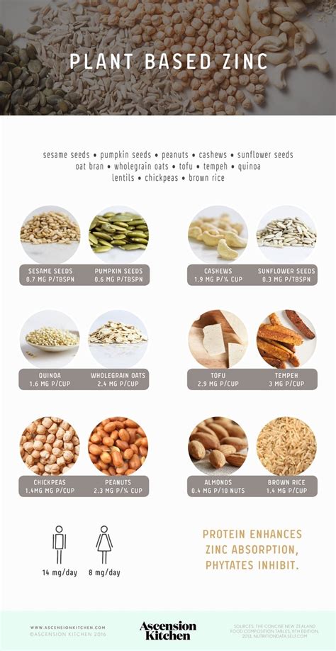 Zinc On A Plant Based Diet Ascension Kitchen