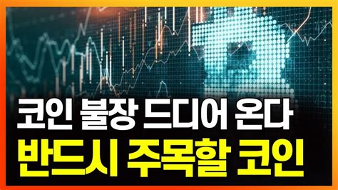 비트코인 리플 은행을 대체한다 대상승장 준비 이 영상만 보면 됩니다 반드시 끝까지 시청하세요 Youtube