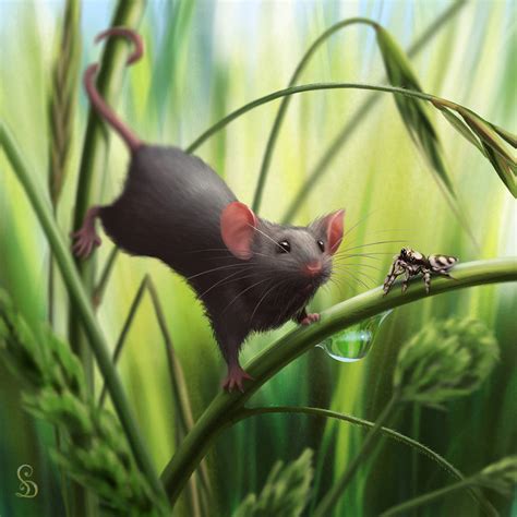 Tiny Mouse By Love Or Death On Deviantart