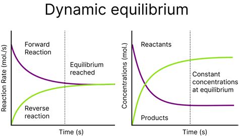 Equilibrium Class 11 Notes For Neet Chemistry Revision