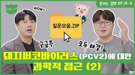 돈돼는 강의｜항체가 검사 Elisa 로 써코바이러스 Pcv2 백신의 효능을 평가할 수 있을까 🤷‍♂️ Youtube