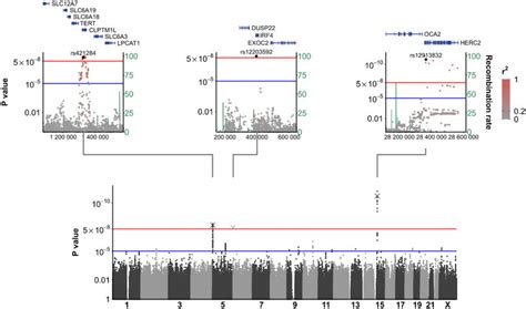 Manhattan Plot And Regional Linkage Disequilibrium Plot For Download Scientific Diagram