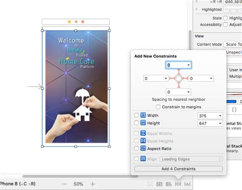 Iphone Imageview Leaves The Padding In Launch Screen In Xcode 92 Ios