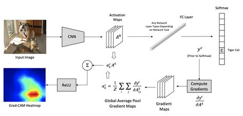 GradCAM Enhancing Neural Network Interpretability