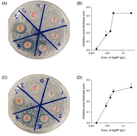Silver Composited Polydopamine Nanoparticles Antibacterial And Antioxidant Potential In