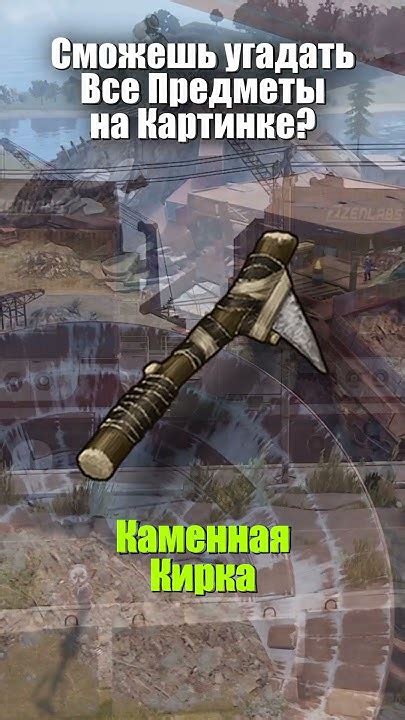 Насколько хорошо вы знаете ПРЕДМЕТЫ из игры Rust РАСТ Shorts Rust раст Rustfps Rustshorts