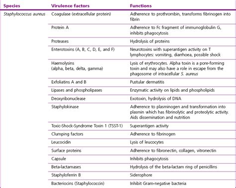 Staphylococcus Species Veterian Key