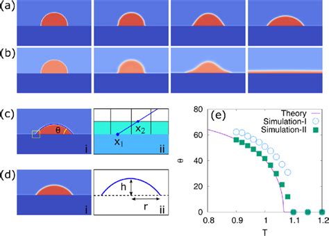 A And B Time Evolution Of The Wetting Microstructures At The