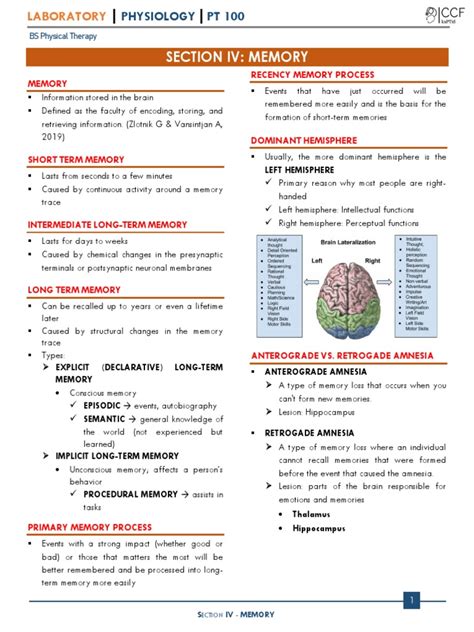 Lab Memory Pdf Memory Long Term Memory