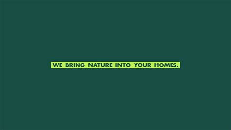 FROM TERRA - Brand identity on Behance