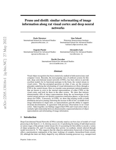Prune And Distill Similar Reformatting Of Image Information Along Rat