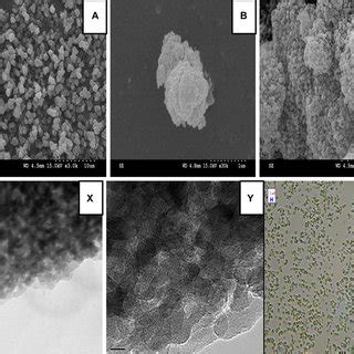 FE SEM Images A B C FE TEM Images X Y And Microscopic View Z Download Scientific