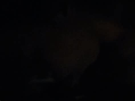 Blow Me Babe Eporner