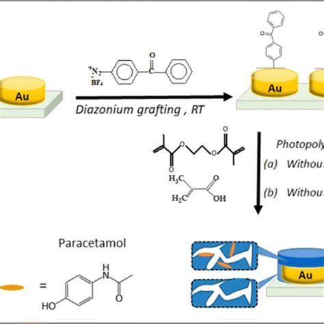Schematic Illustration Of The Surface Modification Strategy For Coating Download Scientific
