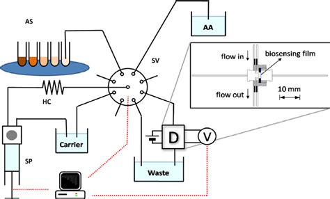 Schematic Illustration Of The Sequential Injection Setup Integrating A