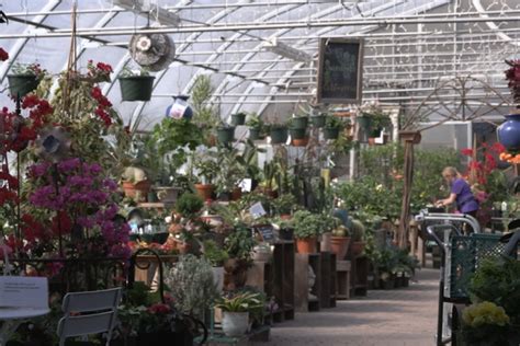 Spring Landscaping Tips