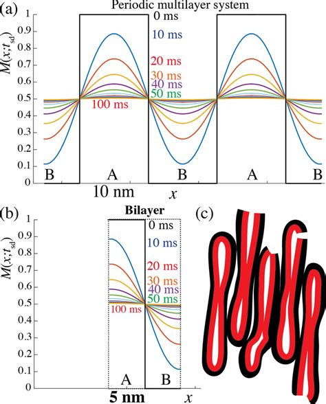 Example Of Equivalent Spin Diffusion Simulation Results For A A