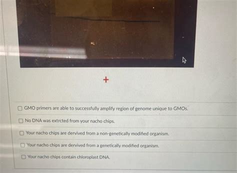 Solved Gmo Primers Are Able To Successfully Amplify Region