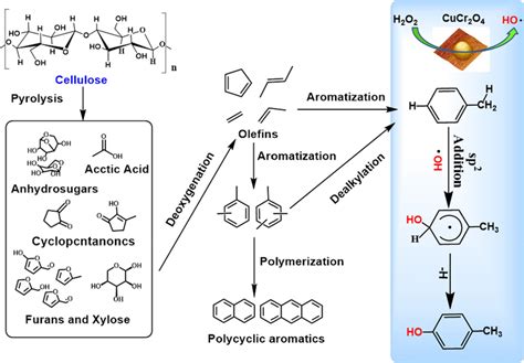Possible Reaction Pathways For Synthesis Of Cresol From Cellulose