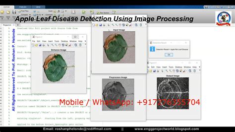 Apple Leaf Diseases Using Image Processing Apple Plant Disease Using