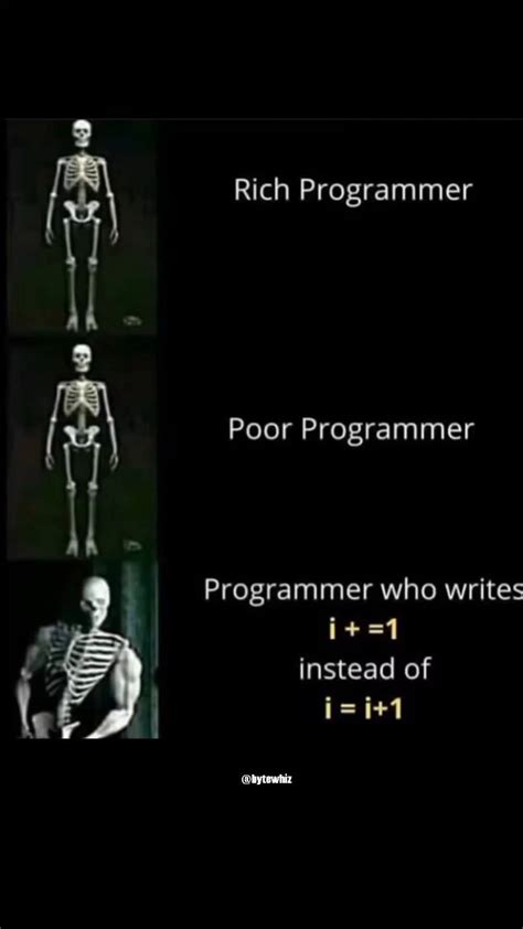 Bytewhiz C C 💀 Viral Programmer Softwaredeveloper Engineer Instagram Python Instagram
