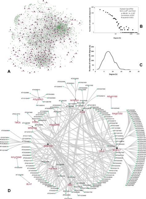 Topology Of The Predicted Bipartite Regulatory Network Visualized Using Download Scientific