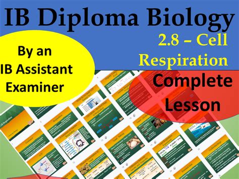 Ib Biology Topic 2 9 Photosynthesis Teaching Resources