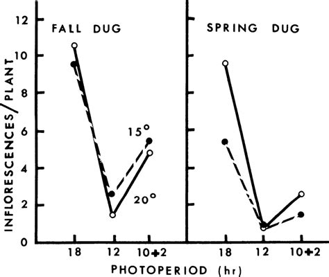 Effects Of Photoperiod Night Temperature 15° Vs 20° C And Time Of Download Scientific