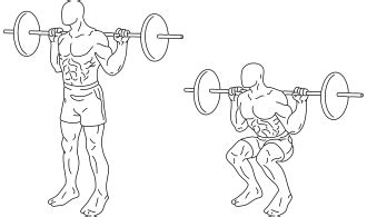 Squat Vikipedi