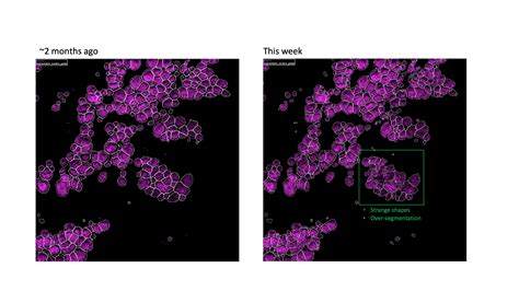 mesemr reproducibility · issue 611 · vanvalenlab deepcell tf · github