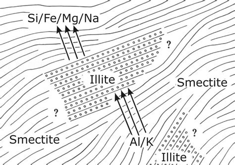 Interpretation Of The Direct Transformation Of Smectite To Illite In Download Scientific