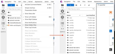 Jupyter Extensions QBraid