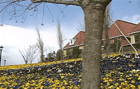 Motion Field And Optical Flow Baeldung On Computer Science