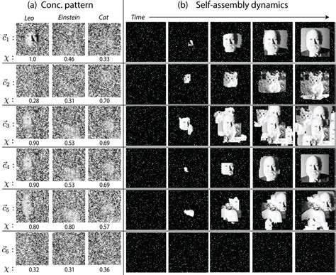 classification of patterns through self assembly each row in a