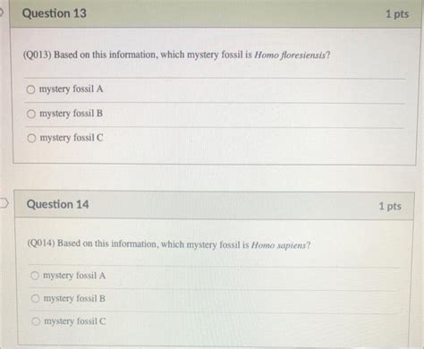 Solved Question Pts Q Compare The Mystery Fossil Chegg