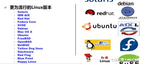 C语言与linux进阶：结构体、内存管理与shell编程 Csdn博客