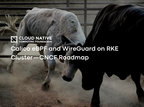Calico Ebpf And Wireguard On Rke Cluster — Cncf Roadmap By Burak
