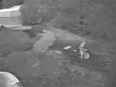 Fir 3 Object Detection Dataset By Fir Dataset