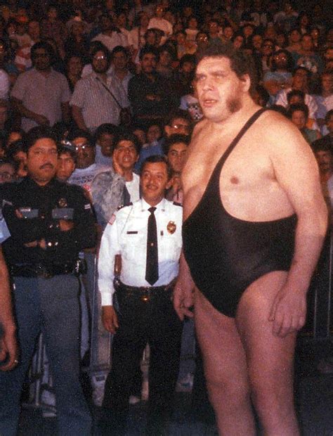The Life Of Wrestling Icon Andre The Giant Shoe Palace Blog
