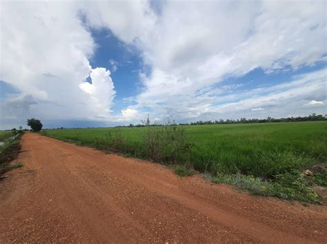 ขายที่นาหนองยาว 68 ไร่ ใกล้ถนน 3076 1 กม พนมสารคาม ฉะเชิงเทรา ที่ดินร้อยแปด คอม