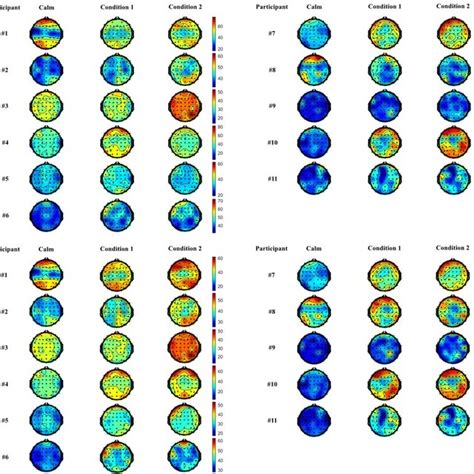 Eeg Power Percentage Topographic Maps In Different Conditions From All
