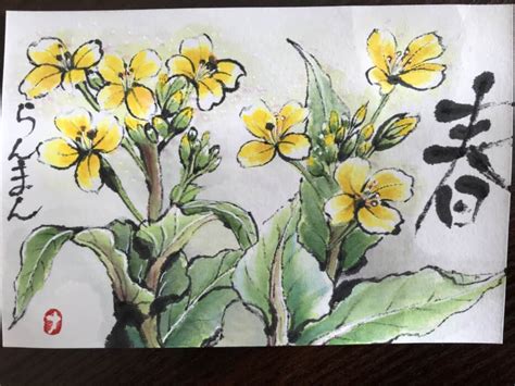 菜の花 絵手紙 交流ひろば てがみ倶楽部