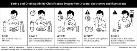Eating And Drinking Ability Classification System Edacs Usaid