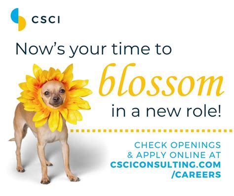 Csci Consulting On Linkedin Nowhiring Csci