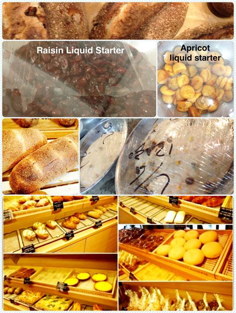 씨즈 베이커리 카페 계정 오류로 다시 올려요 ㅠㅠ 씨즈의 모든 빵은 천연발효종을 이용하여 만들어집니다 천연발효종은 일반적으로 빵을 만들때 쓰는 가공 이스트 대신